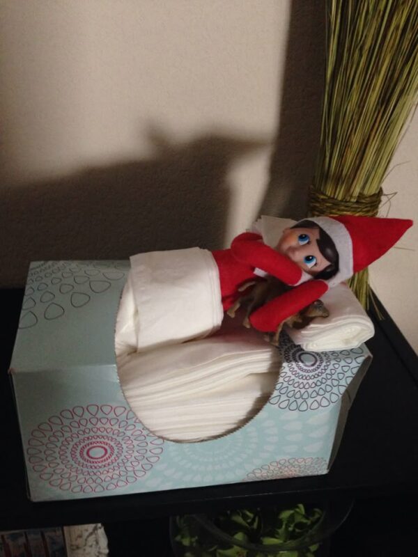 25 Funny Elf on the Shelf Ideas That’ll Make Your Kids (and You) Crack Up